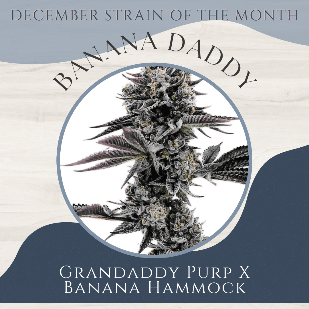 Loyalty Programs & Specials | Cannabis Cured