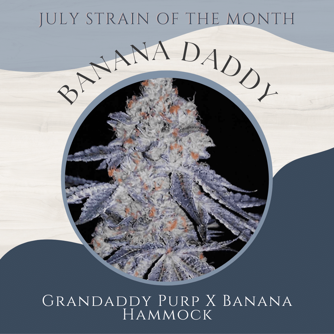 Loyalty Programs & Specials | Cannabis Cured